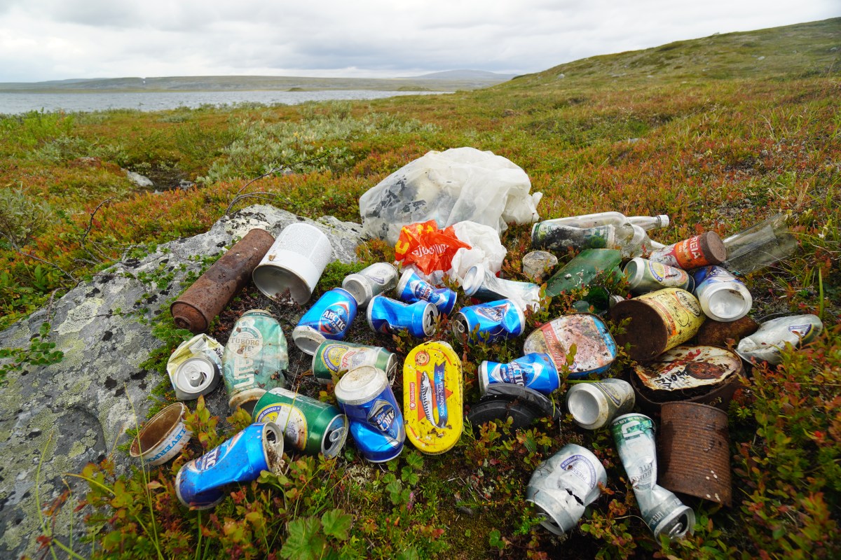 På vandring langs et reingjerde – Veidemannsblod